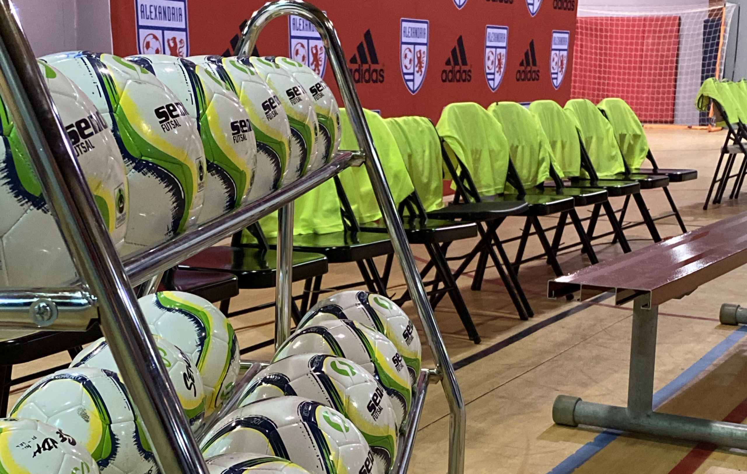 Futsal Pro Teams - Alexandria Soccer Association